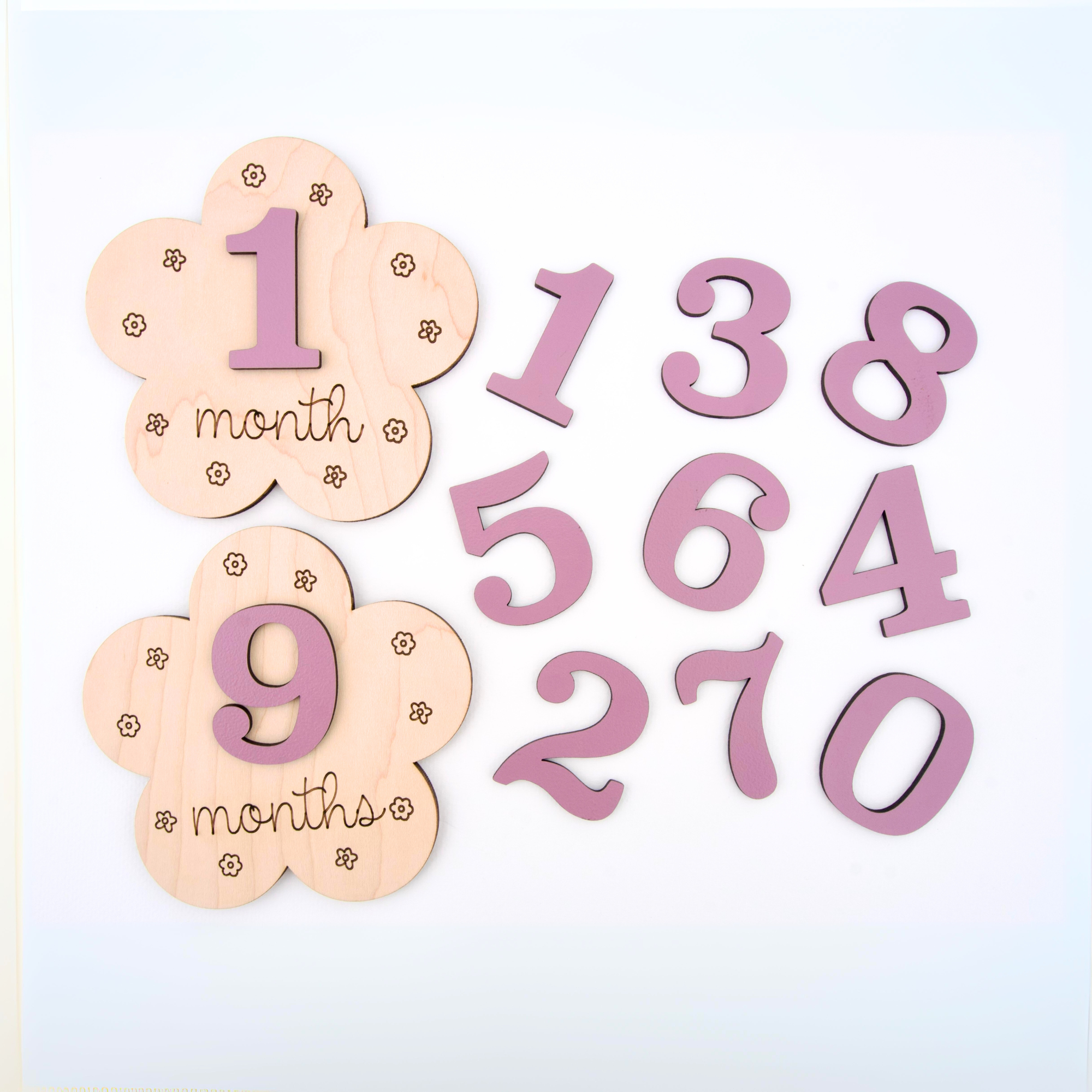 Baby Monthly Milestone Markers | Retro Flower Milestones – Harp & Timbrel